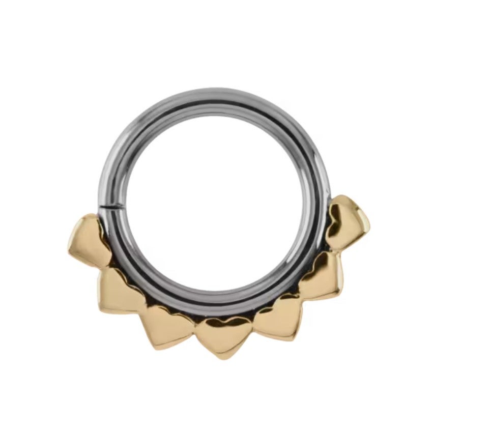 LeRoi Jiya Seamless Ring | Integrity Body Arts